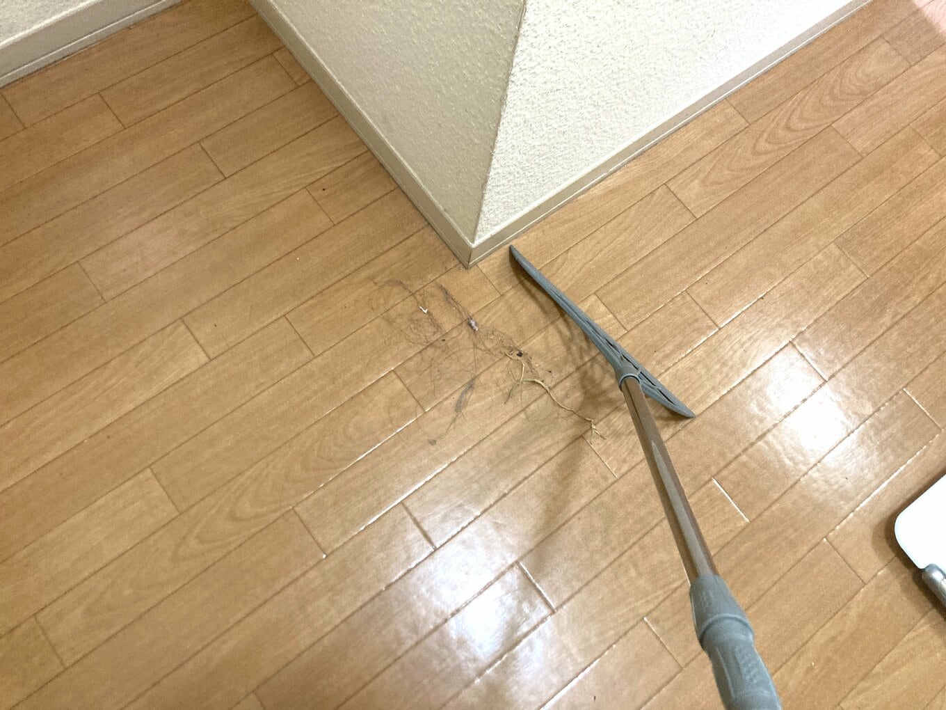 ダイソー220円「マルチ万能ほうき」で掃除が快適に。家じゅうピカピカ、梅雨にも便利 | ESSEonline（エッセ オンライン）