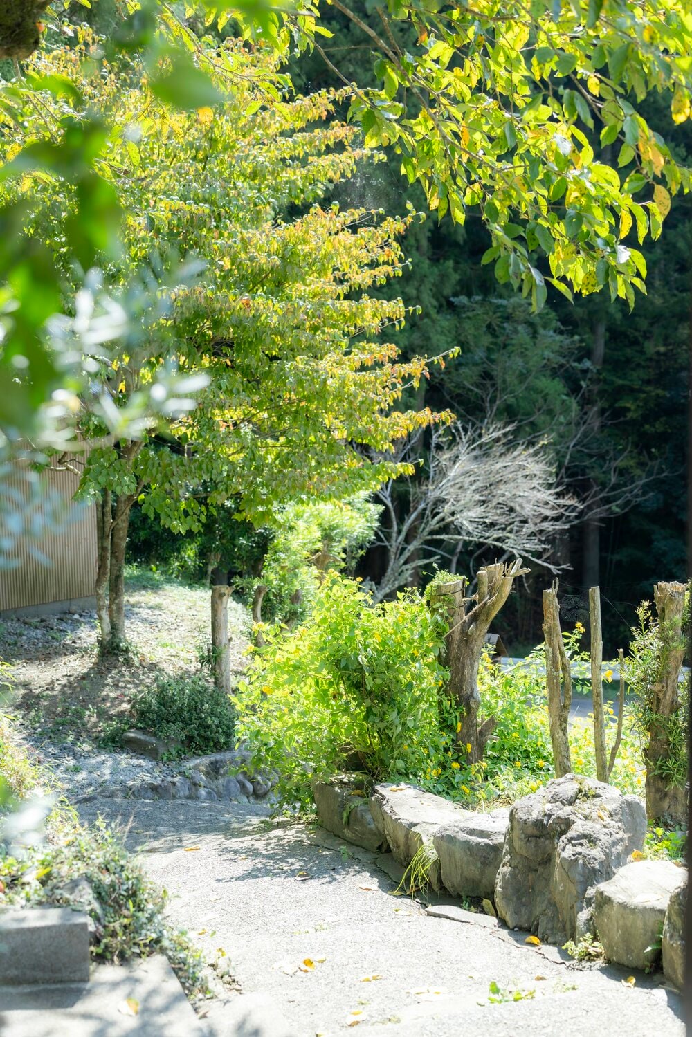 60代・夫婦ふたり暮らしの「リアルな献立」。あるもので簡単につくれて食べ疲れしない | ESSEonline（エッセ オンライン）