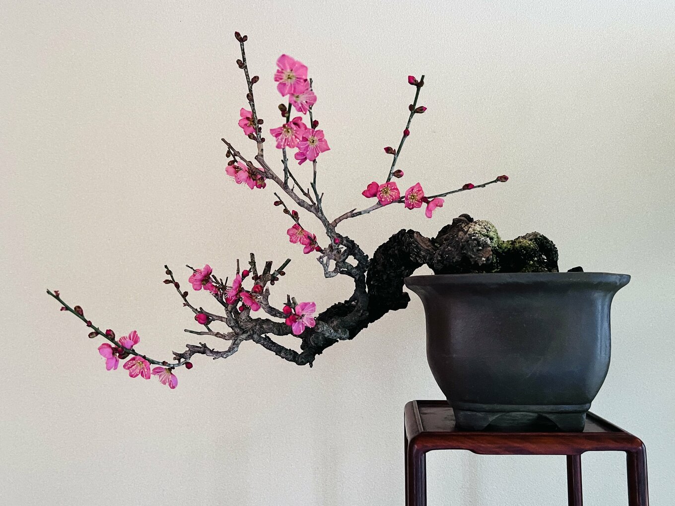 [写真](1ページ目)60代、ものを捨てられない夫と手放したい妻。夫婦で決めた”ちょうどいい”ルール | ESSEonline（エッセ オンライン）