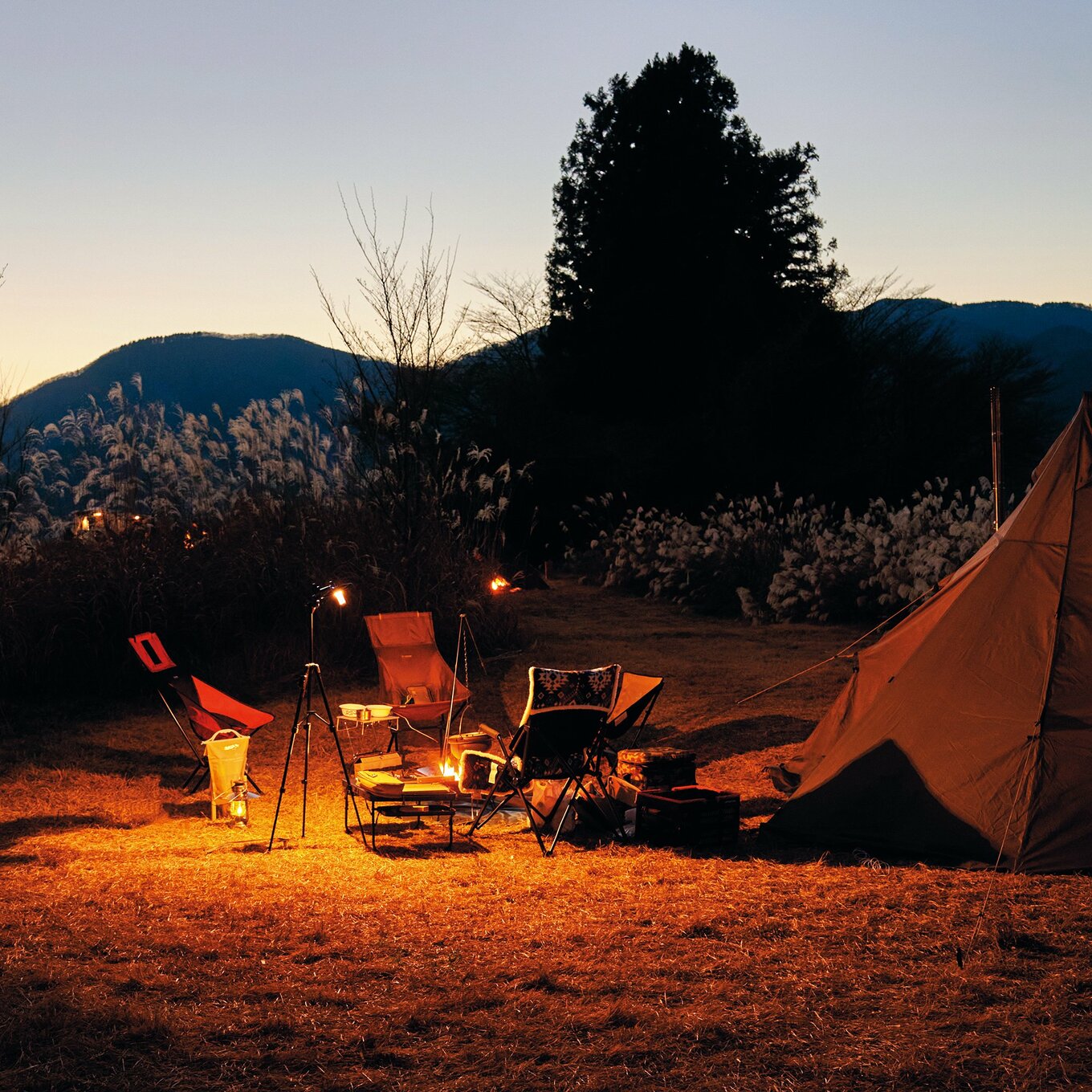 100円ショップ＆ワークマンで見つけた「コスパ最強キャンプ道具」6選 | ESSEonline（エッセ オンライン）