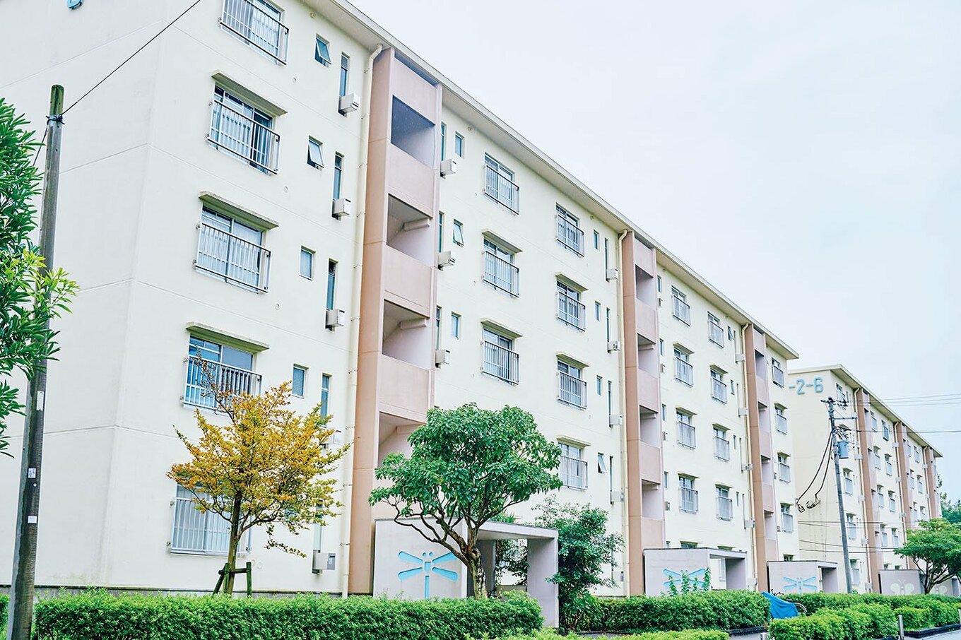 [写真](1ページ目)70代、持ち家をやめて賃貸団地に。「今あるもの」で楽しく暮らす | ESSEonline（エッセ オンライン）