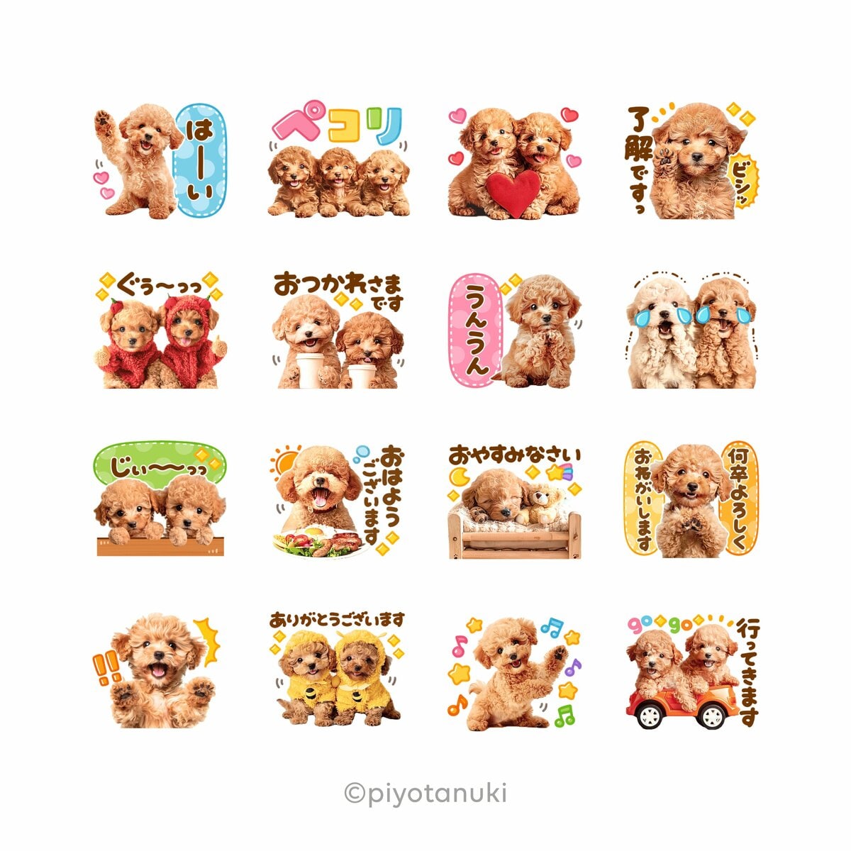 LINEスタンププレゼントキャンペーン開催中！ESSEと友だちになって「トイプー×選べるニュース」をもらおう | ESSEonline（エッセ オンライン）