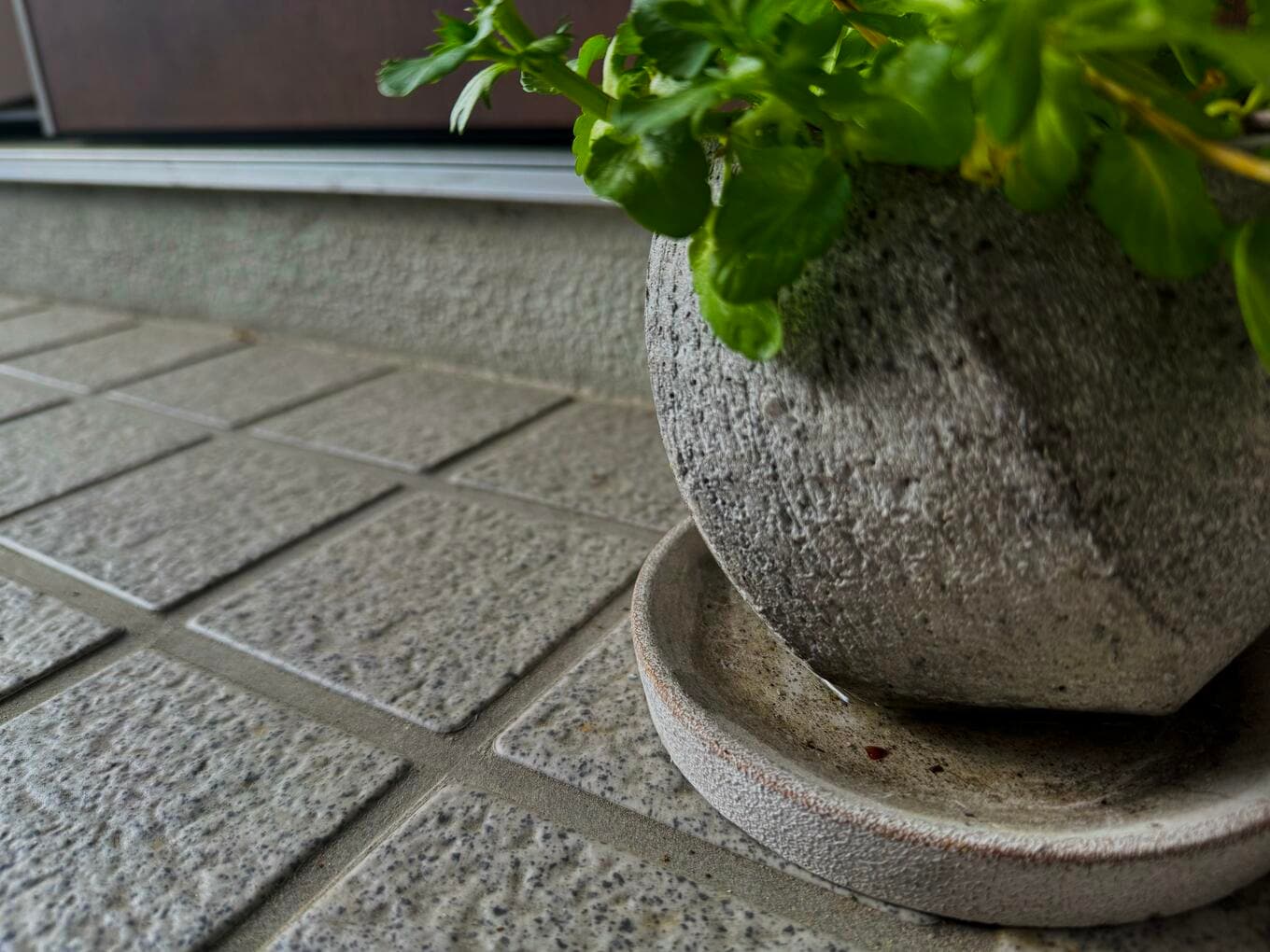 意外と知らない「ゴキブリを引き寄せる」NG行動5つ。段ボールの放置も要注意！ | ESSEonline（エッセ オンライン）