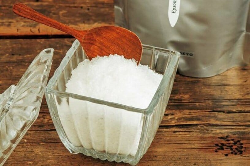 50代・60代・70代の買ってよかったもの、ずっと大切にしたいものの一覧 | ESSEonline（エッセ オンライン）