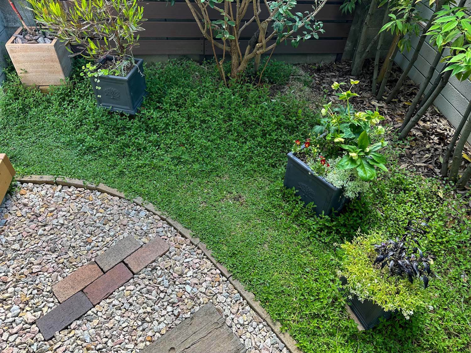 元ガーデニングに興味なしの人がつくった、住宅密集地の森みたいな庭 | ESSEonline（エッセ オンライン）