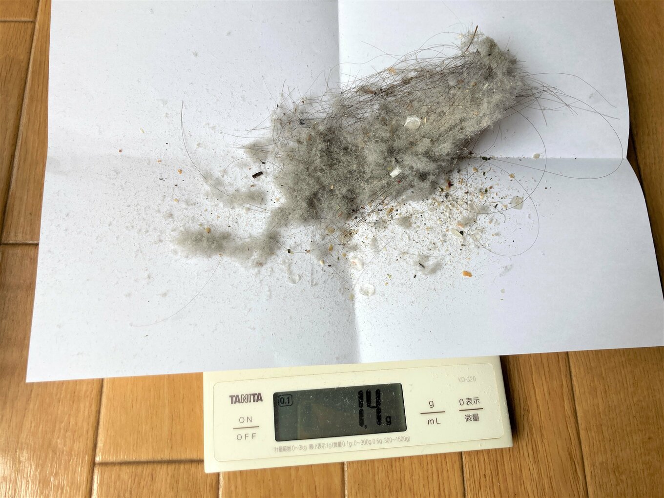 [写真](1ページ目)床のホコリがゴッソリとれる。外出中に家がきれいになる裏ワザ：10月のベスト記事 | ESSEonline（エッセ オンライン）