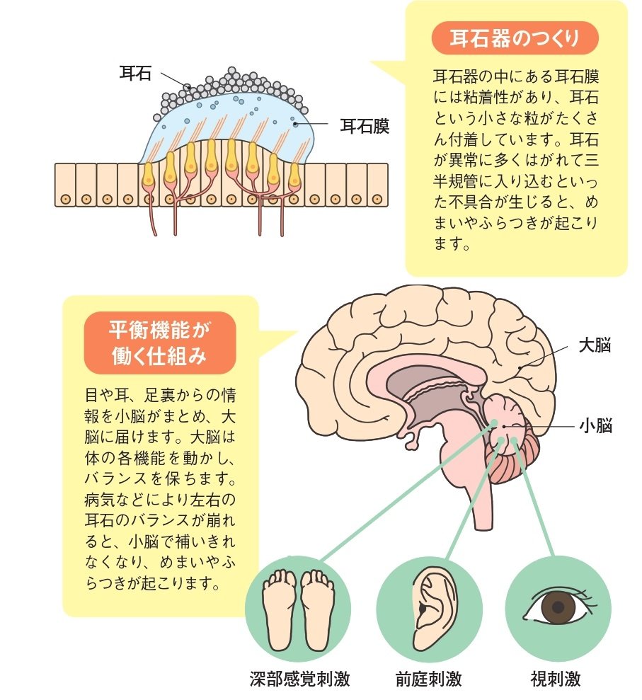 冬に発症しやすい「めまい・ふらつき」の予防策を専門医が伝授。生あくびや肩こりも前兆の1つ | ESSEonline（エッセ オンライン）