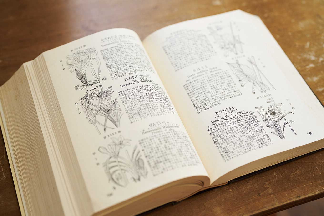 70代の「明るい終活」。食事はシンプルに、古い知識やものを捨てて人生をリセット／石黒智子さん：2024年12月トップ10 | ESSEonline（エッセ オンライン）