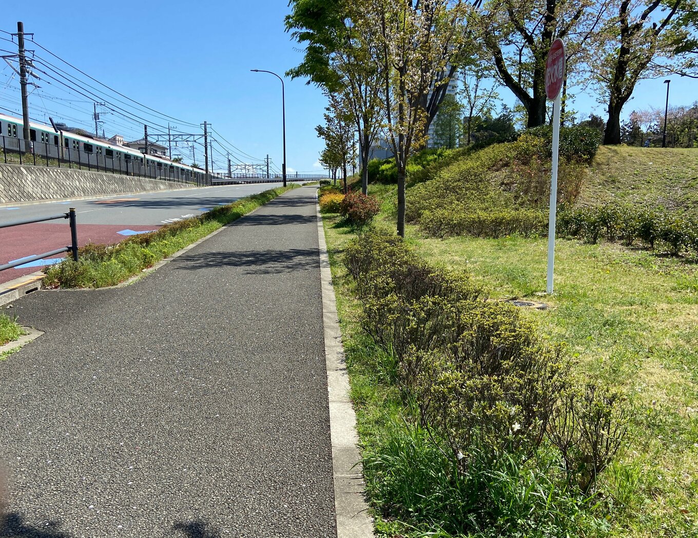 50代の無理しない人づき合い。「来るもの拒まず、去るもの追わず」が心地いい | ESSEonline（エッセ オンライン）