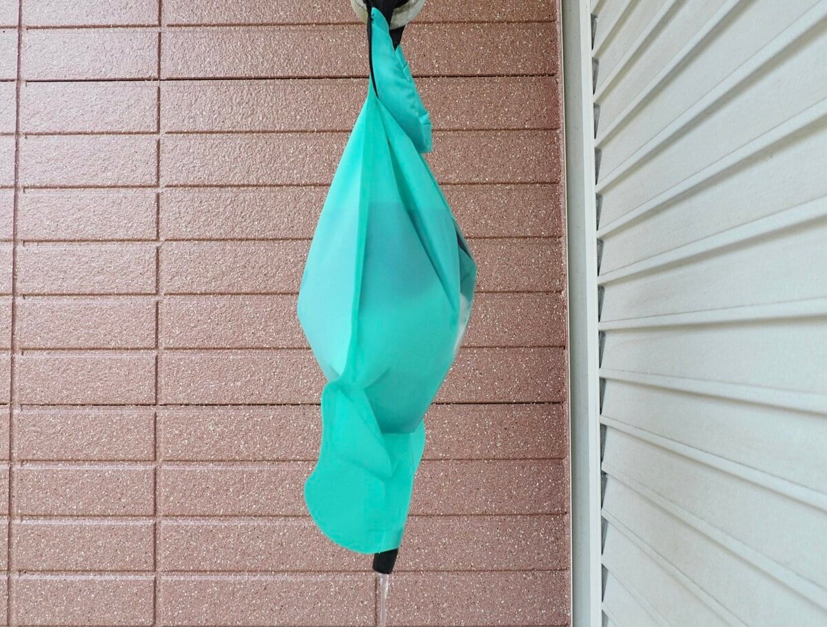 SNSで話題になったダイソーの「洗濯袋」。気になる使い心地を靴下で試してみた | ESSEonline（エッセ オンライン）