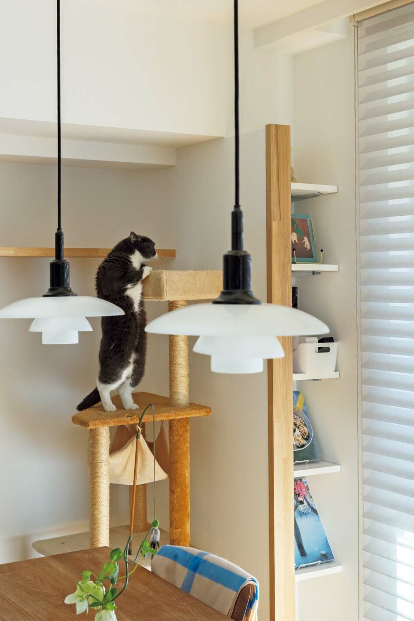 [写真](1ページ目)50代の自宅マンションリノベ：キッチンを使いやすく＆長いキャットウォークも | ESSEonline（エッセ オンライン）