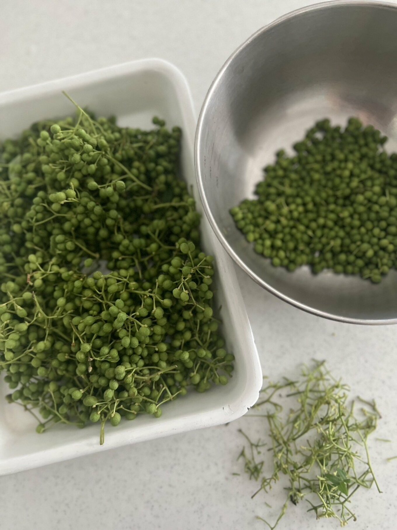 [写真](1ページ目)旬の「実山椒」はしょうゆ漬けに。いろいろな料理に使えて長期保存もOK | ESSEonline（エッセ オンライン）